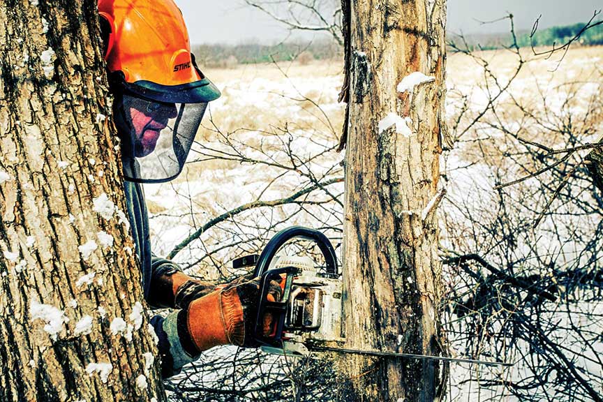 Land Clearing, Tree Removal & Disposal Services - JB Sawmill